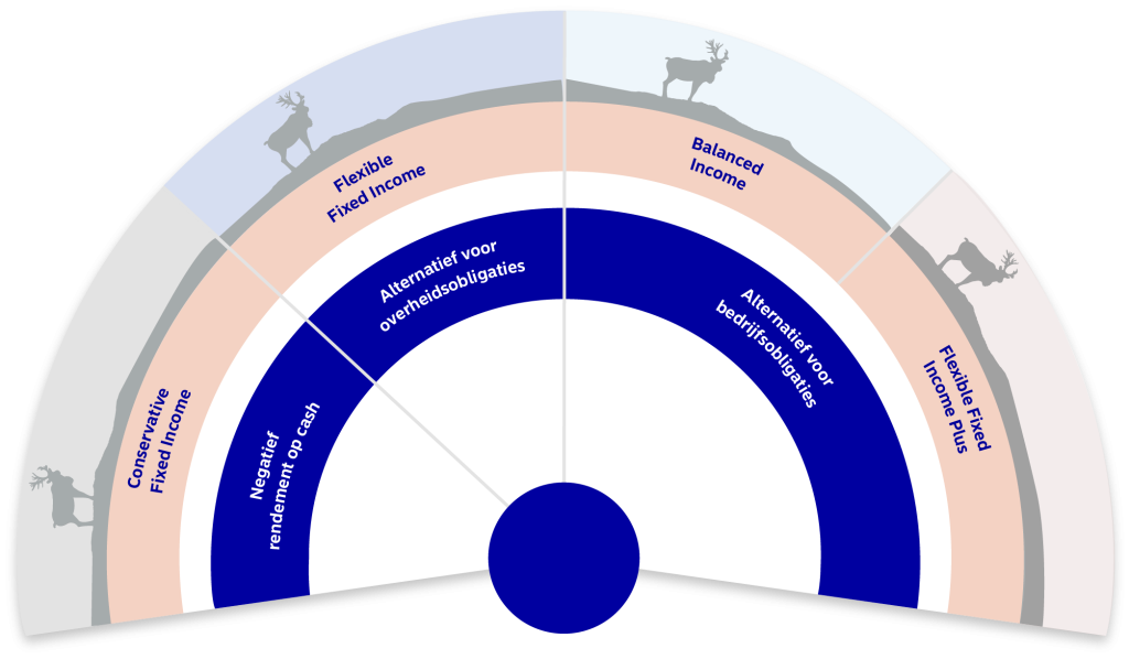 Flexible Fixed Income Fund - Professionele belegger
